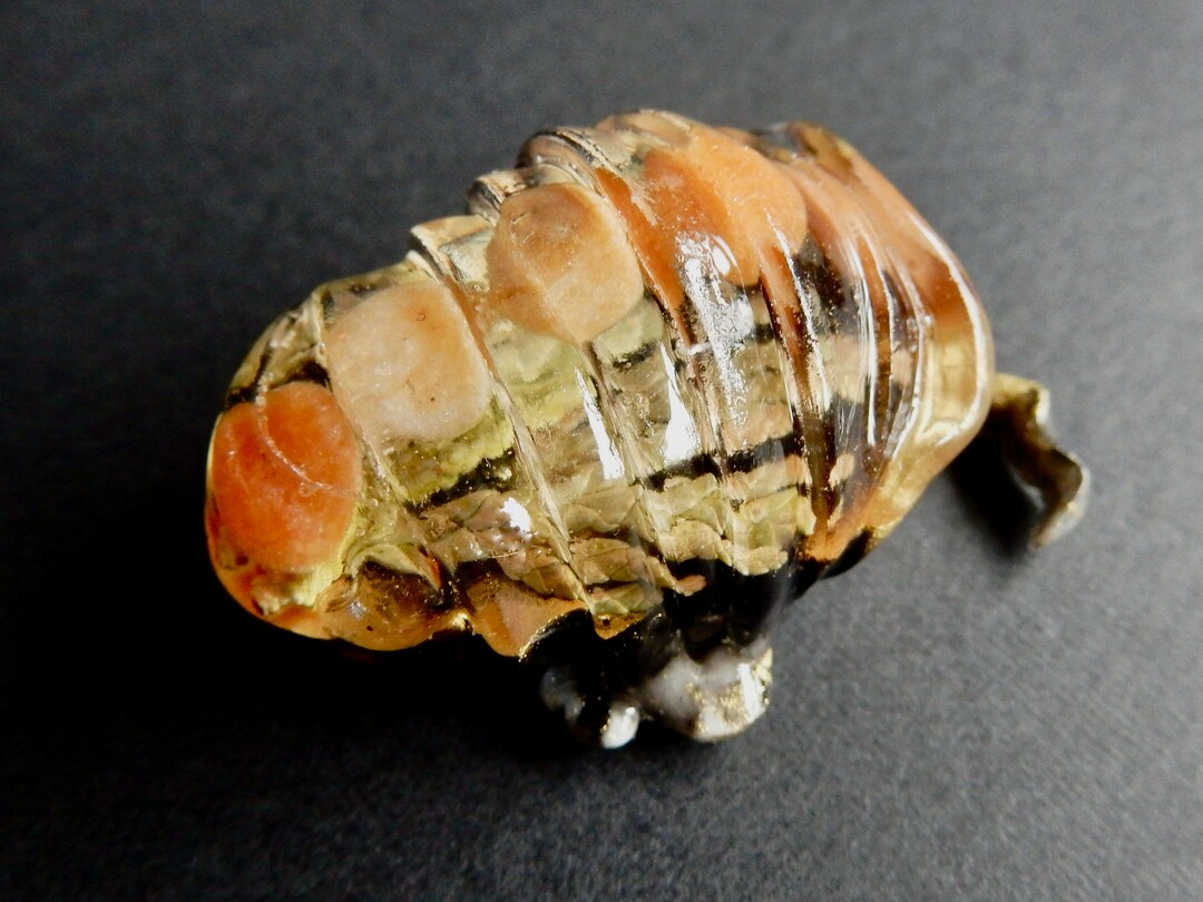 Isopod Magnet, Pill Bug Magnet, Isopod Art, Red Aventurine Gemstones ...