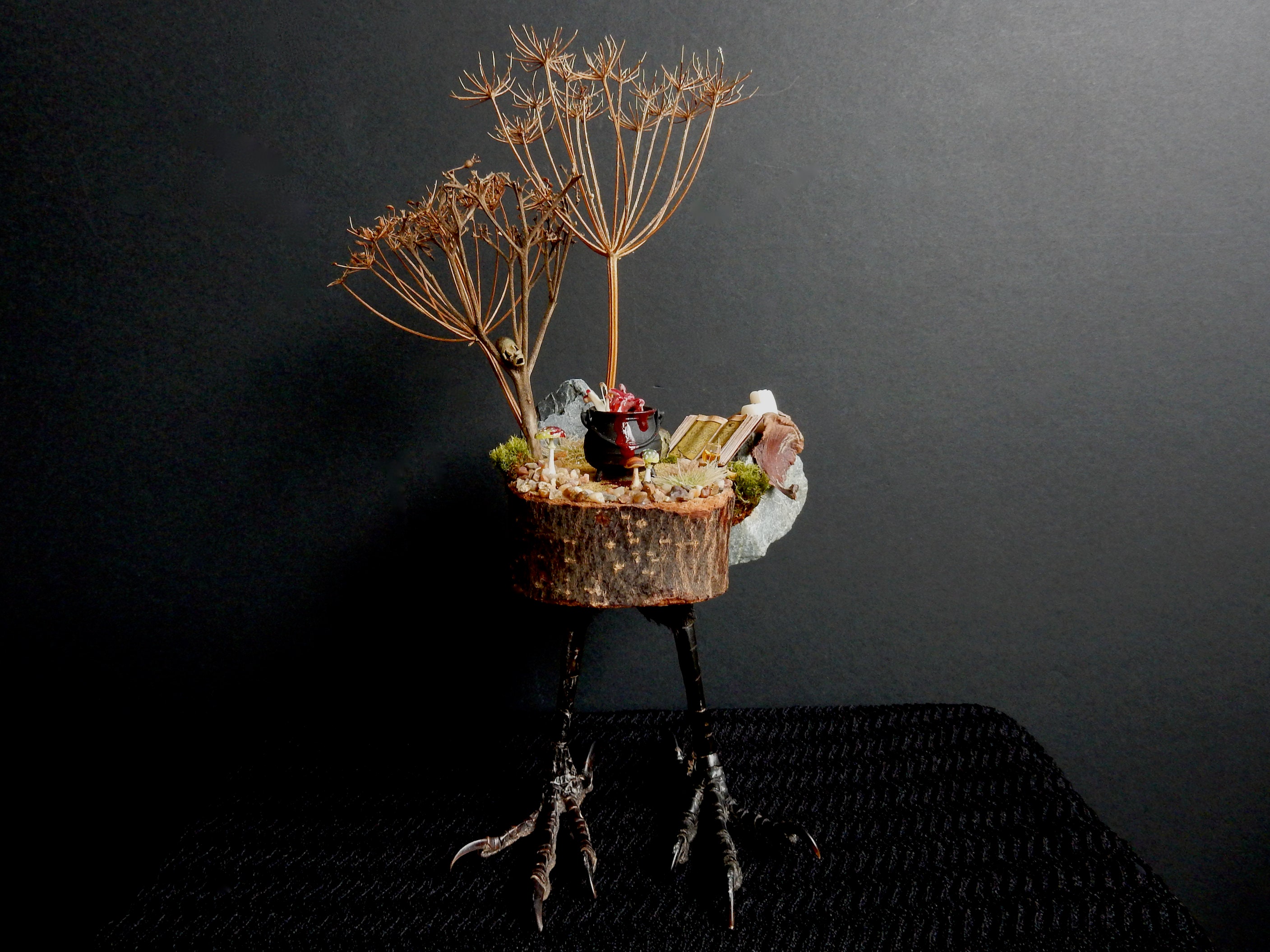 Witch Diorama Witch Terrarium Crime Scene Diorama Baba Yaga - Etsy