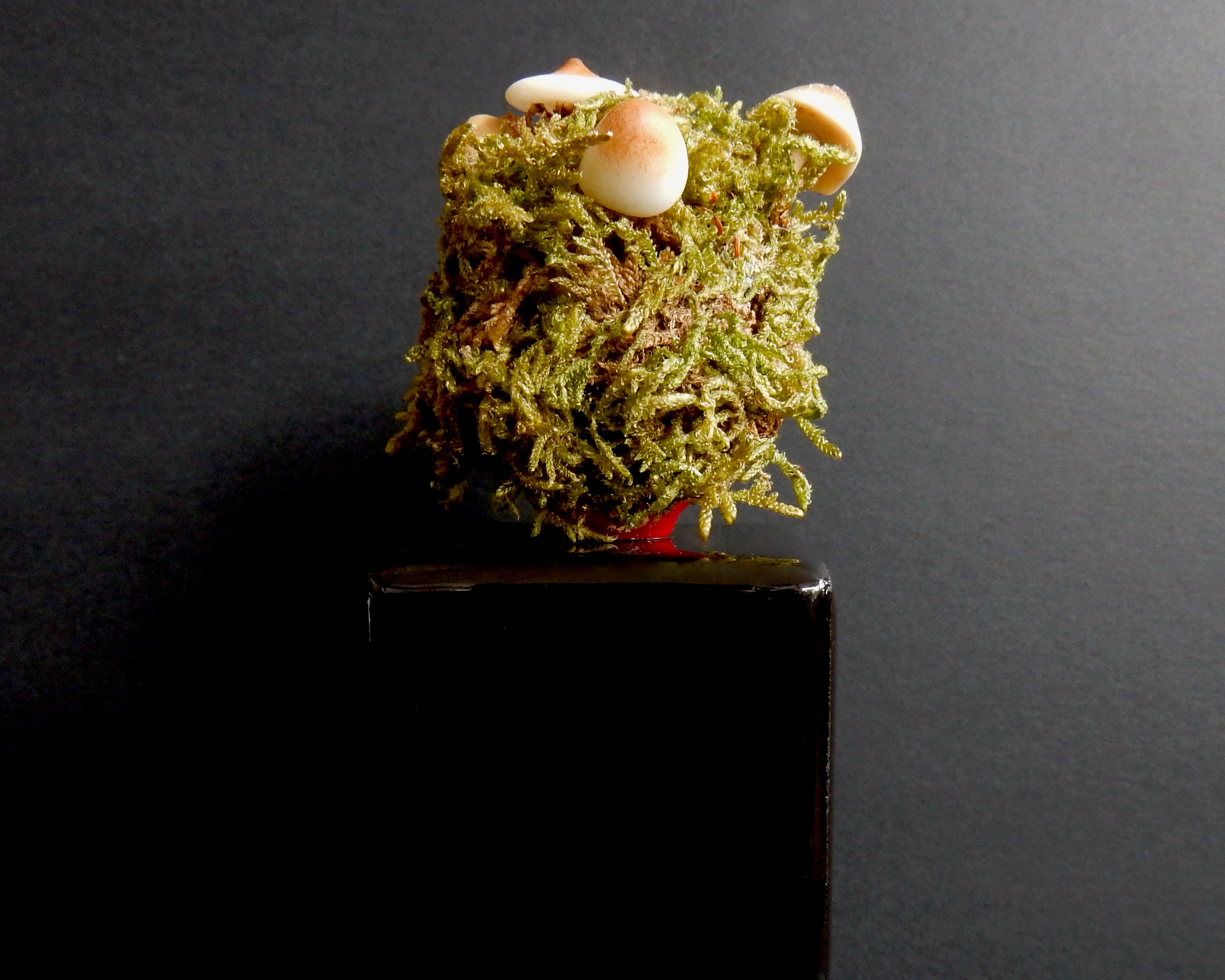 Mushroom Barbie, Creepy Barbie, Barbie Head Sculpture, Creepy Doll Head ...