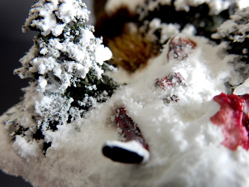 Serial Killer Diorama True Crime Snow Trees Snowy Forest - Etsy