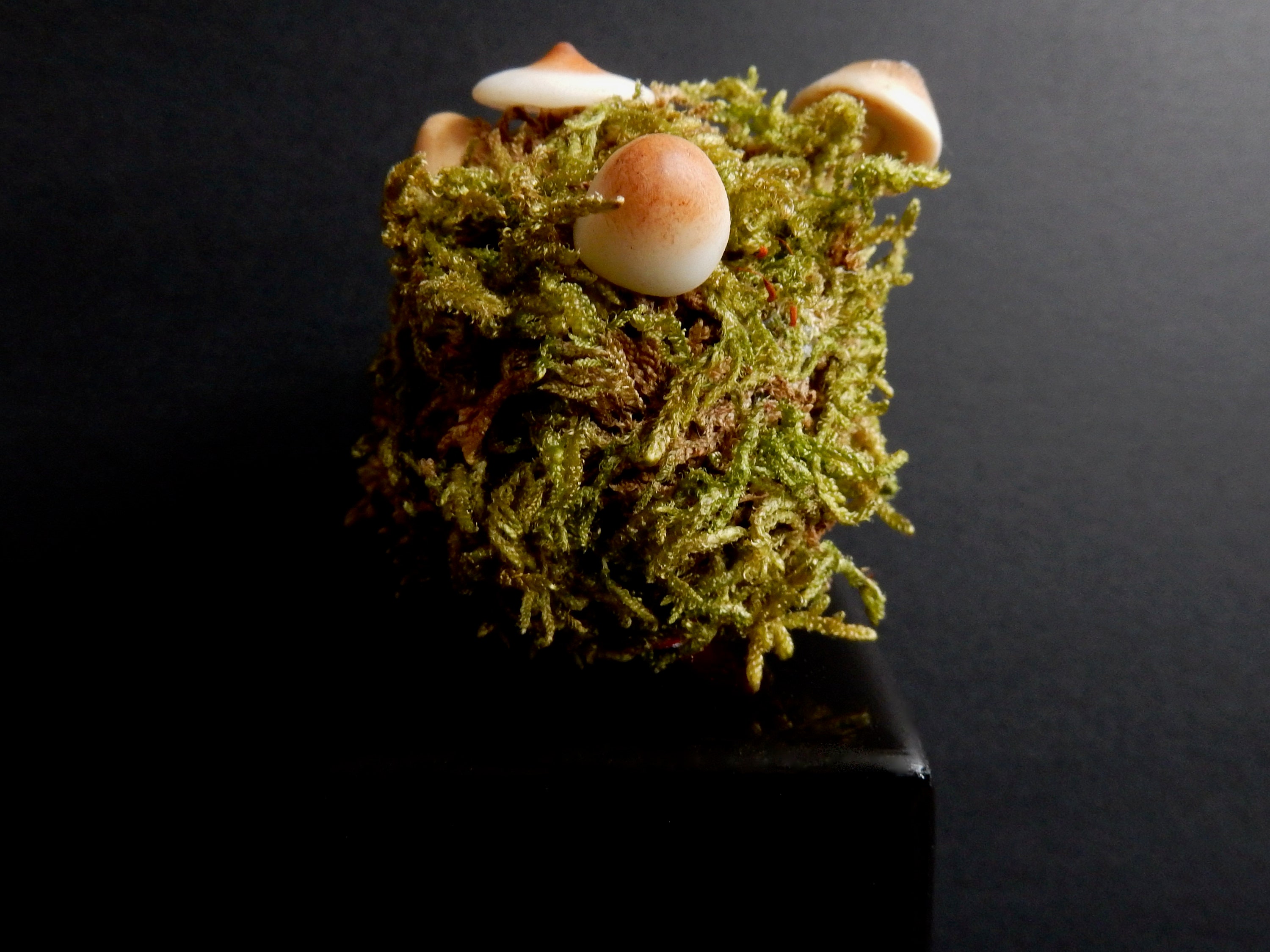 Mushroom Barbie, Creepy Barbie, Barbie Head Sculpture, Creepy Doll Head ...