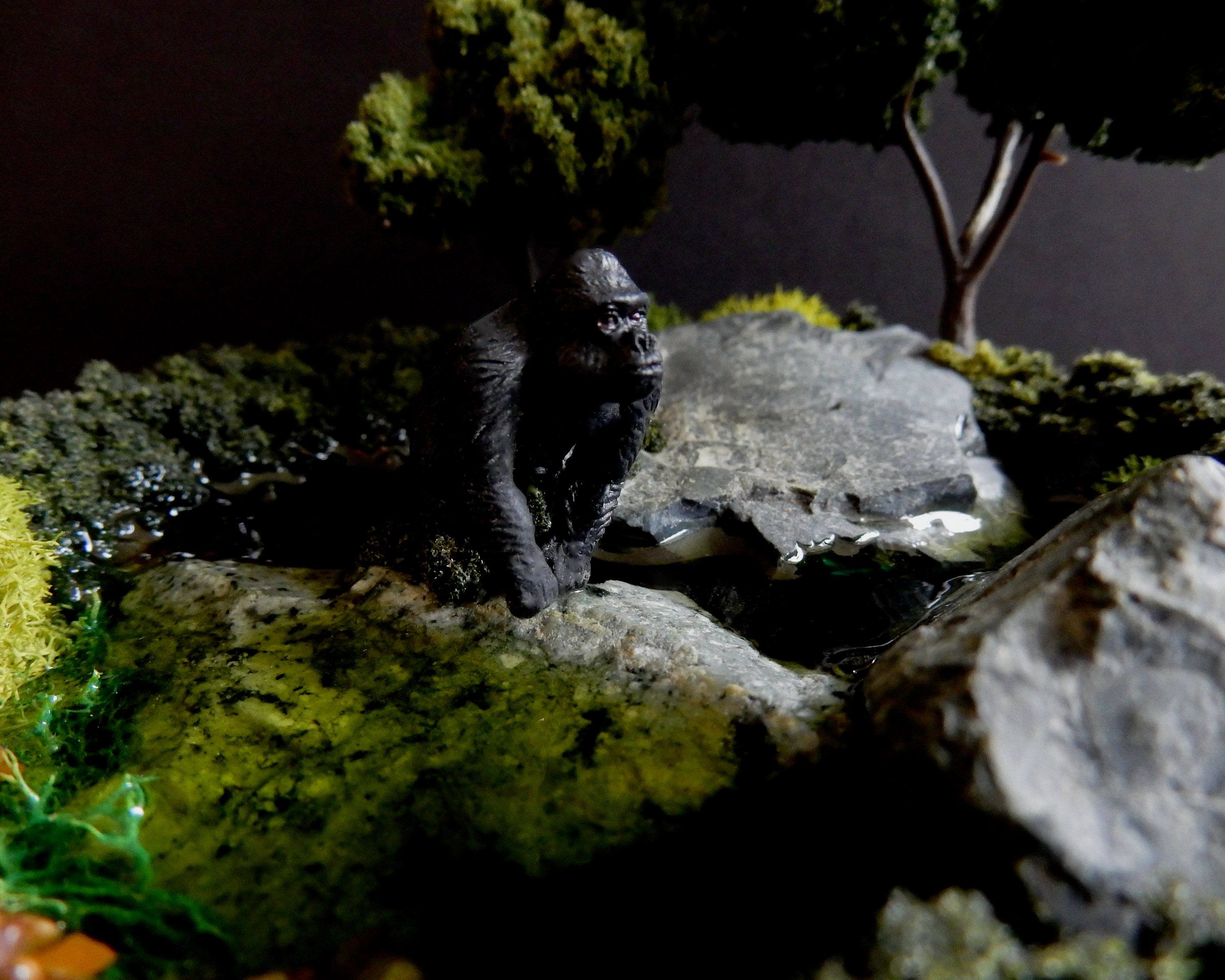 Mountain Gorilla Habitat Diorama