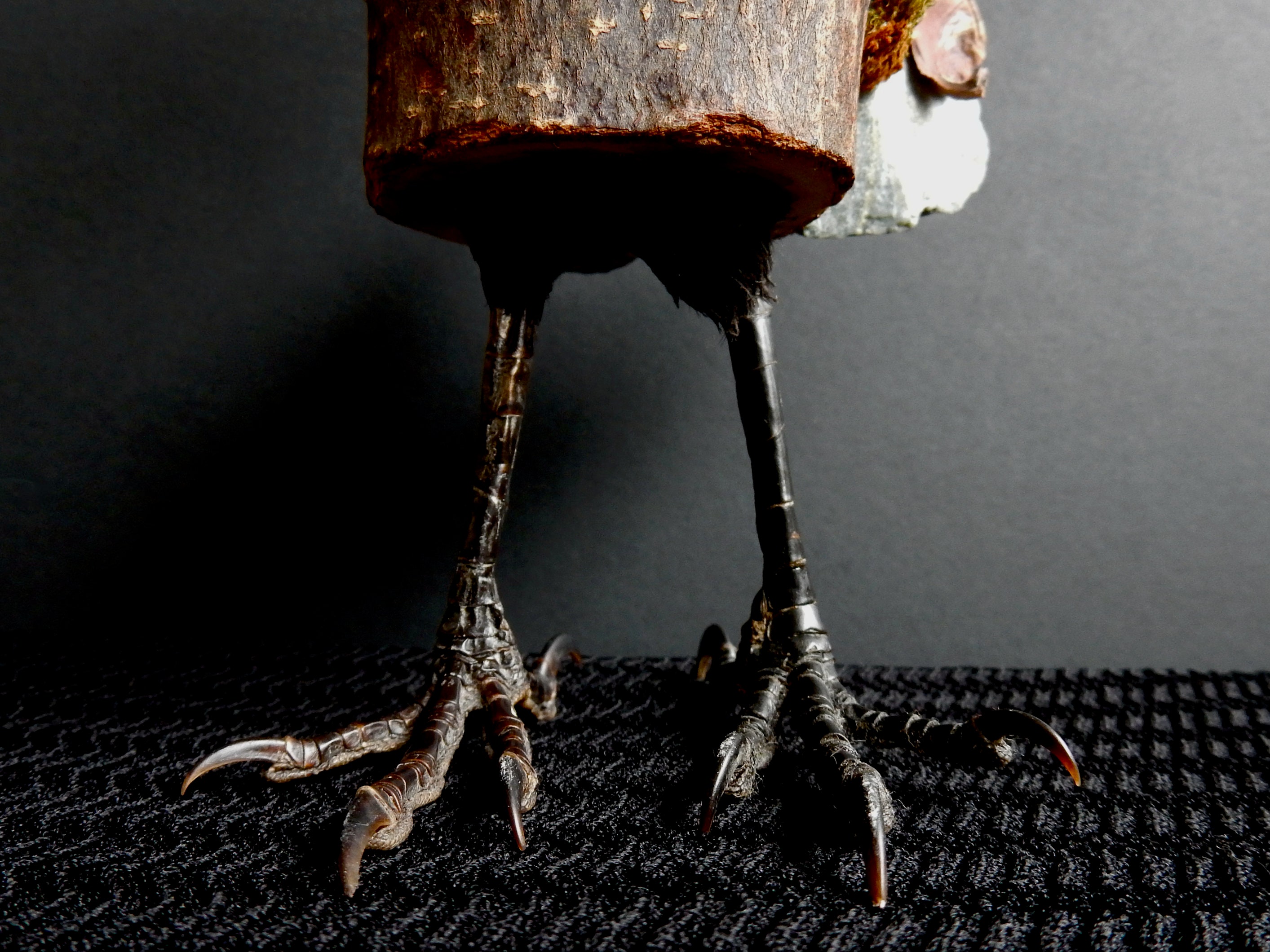 Witch Diorama Witch Terrarium Crime Scene Diorama Baba Yaga - Etsy