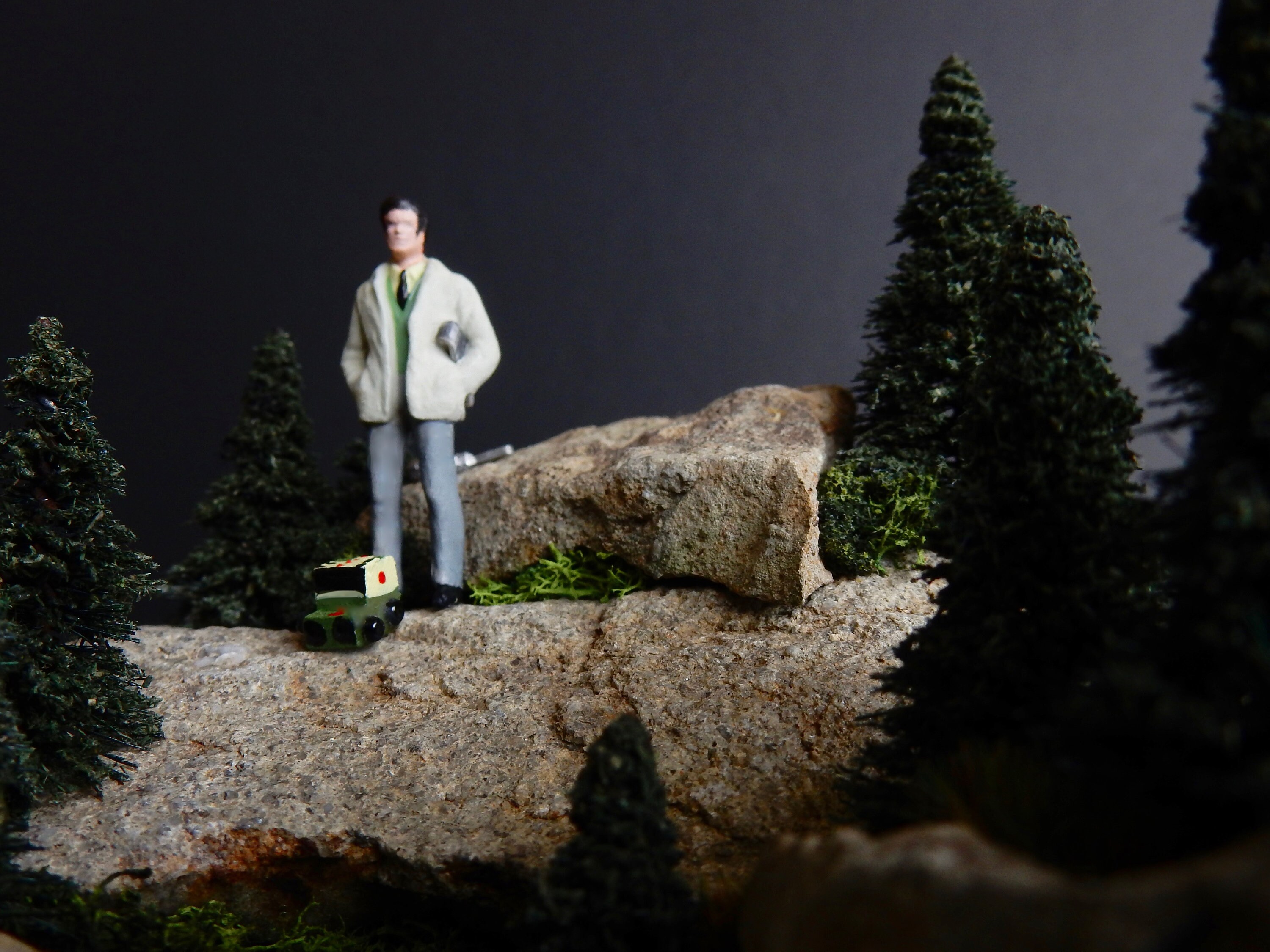 Miniature Crime Scene, Horror Diorama, Vintage Diecast, True Crime ...