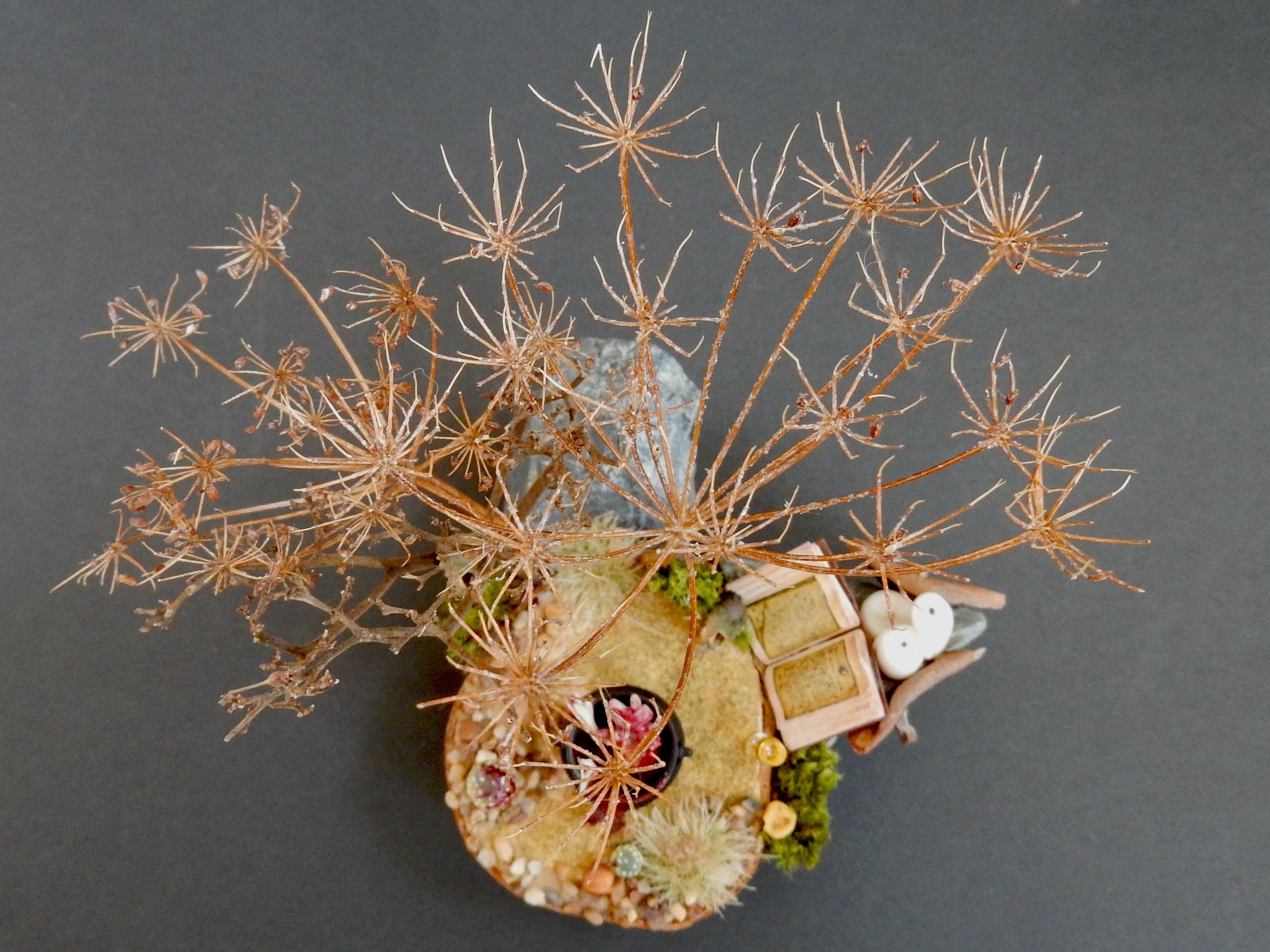 Witch Diorama Witch Terrarium Crime Scene Diorama Baba Yaga - Etsy
