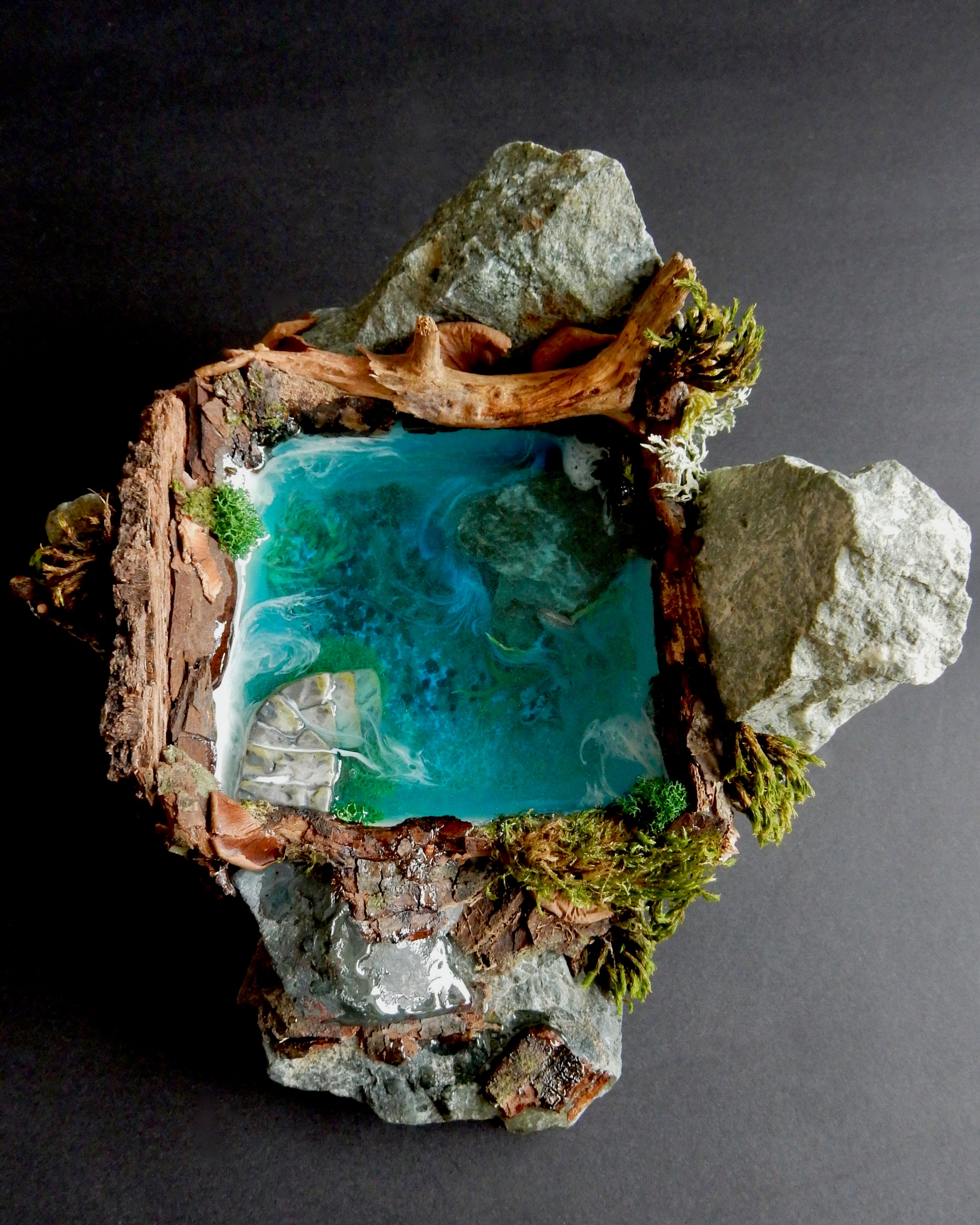 Hot Springs Diorama, Lagoon Diorama, Forest Lake Diorama, Tropical Lake ...