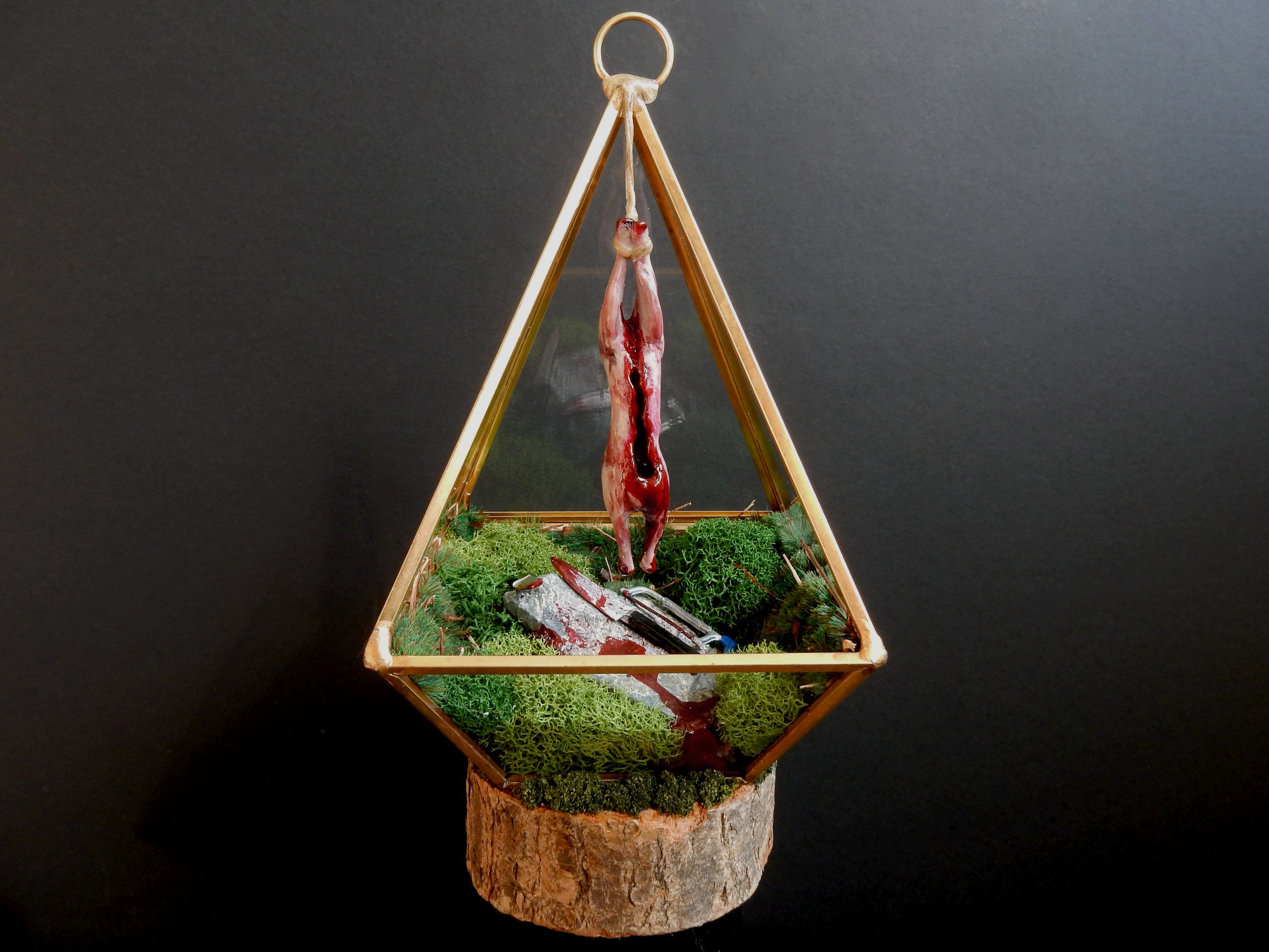 Genie Feral Child, True Crime Diorama, Horror Diorama, Miniature Animal ...