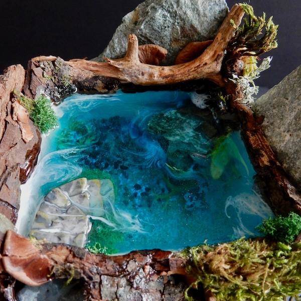 Terrarium Tropical - Etsy