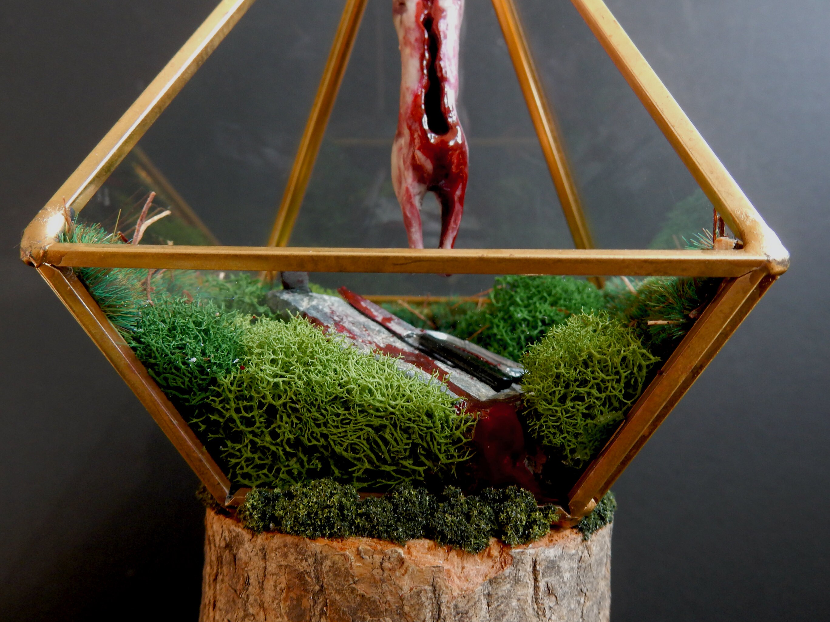 Genie Feral Child True Crime Diorama Horror Diorama - Etsy