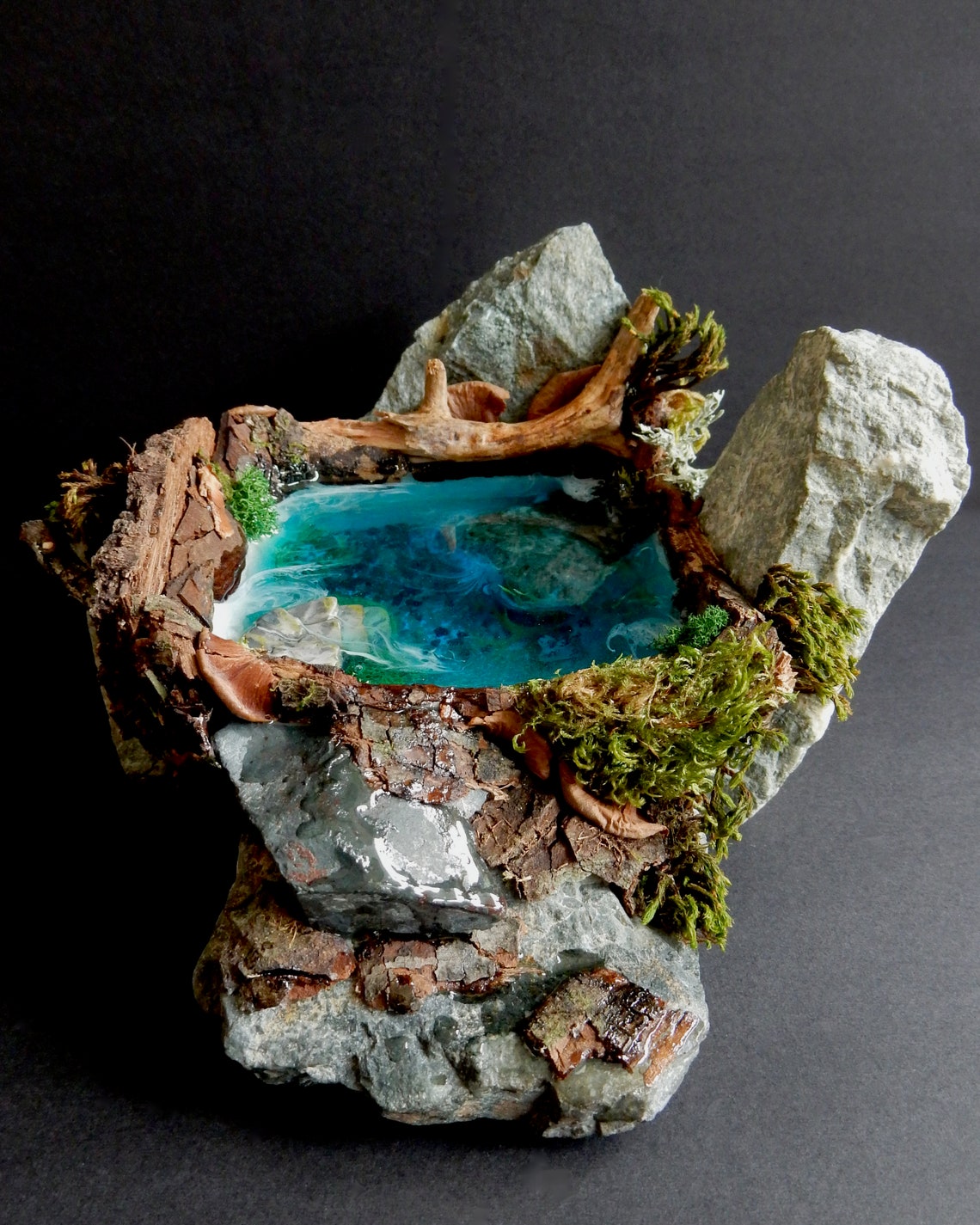 Hot Springs Diorama, Lagoon Diorama, Forest Lake Diorama, Tropical Lake ...