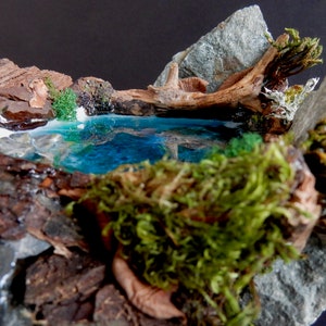 Hot Springs Diorama, Lagoon Diorama, Forest Lake Diorama, Tropical Lake ...