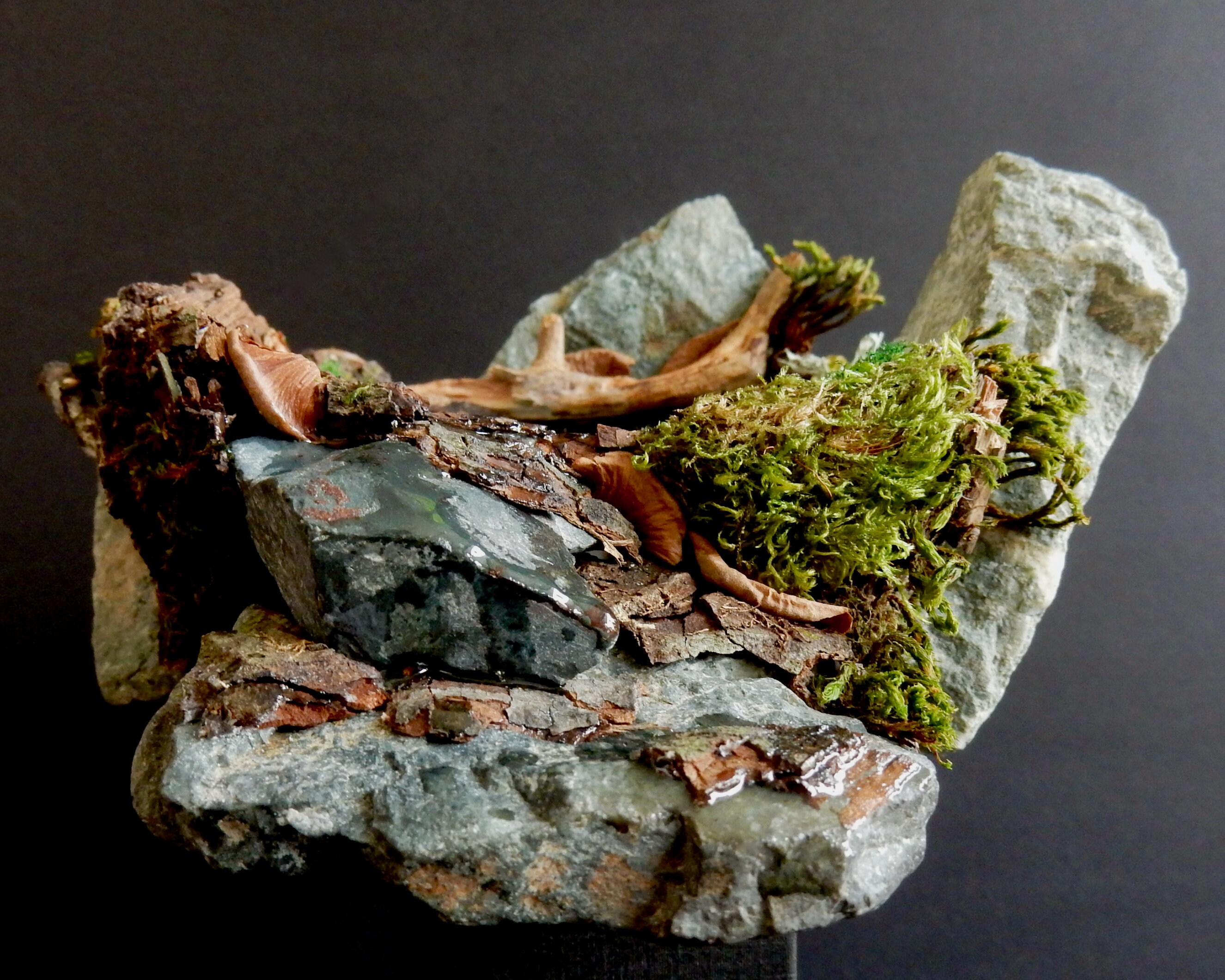 Hot Springs Diorama, Lagoon Diorama, Forest Lake Diorama, Tropical Lake ...