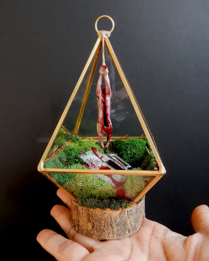 Genie Feral Child True Crime Diorama Horror Diorama - Etsy