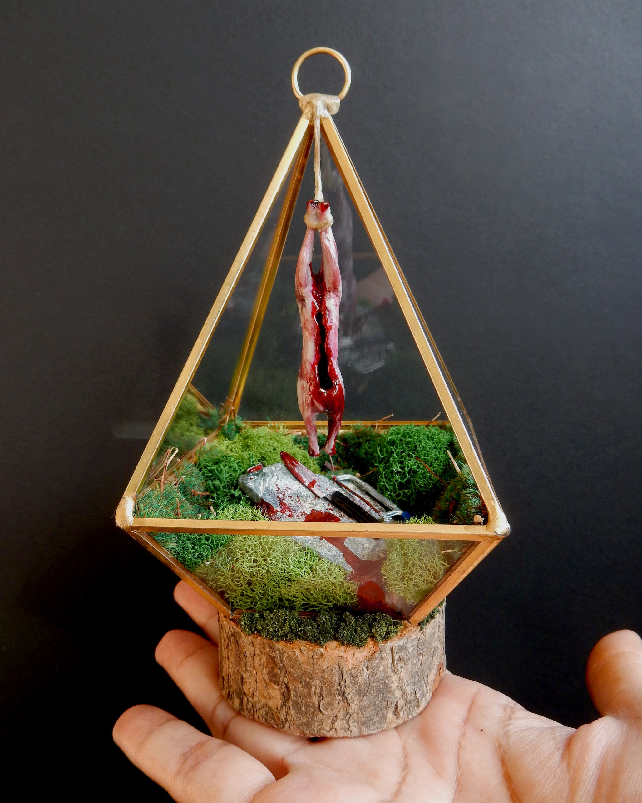 Genie Feral Child True Crime Diorama Horror Diorama - Etsy