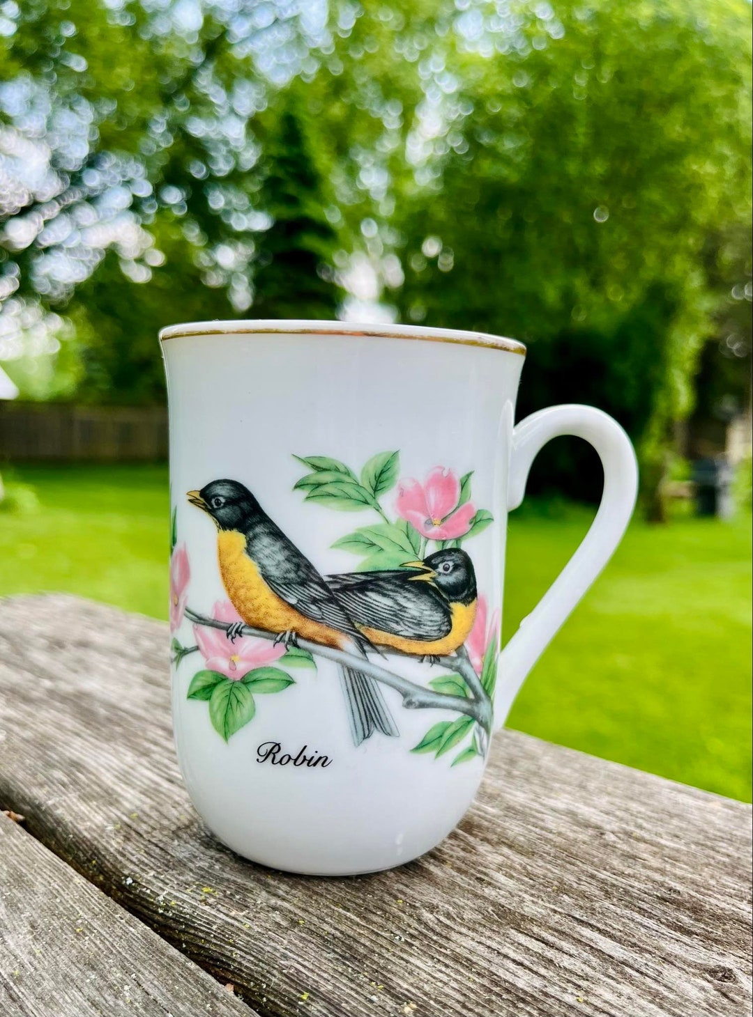 Vintage 1985 John James Audubon Robin Bird Porcelain Coffee Mug, Nature ...