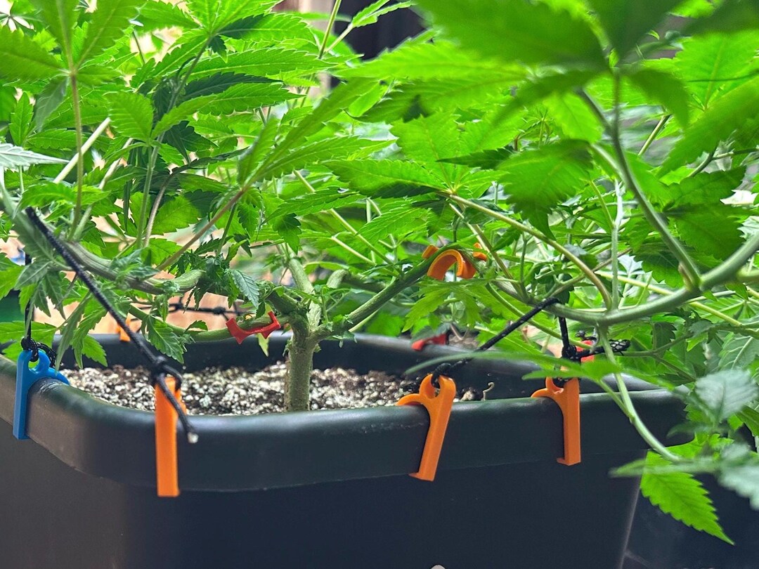 Autopot LST Clips – 3d-printed Plant Training, Reusable - Etsy