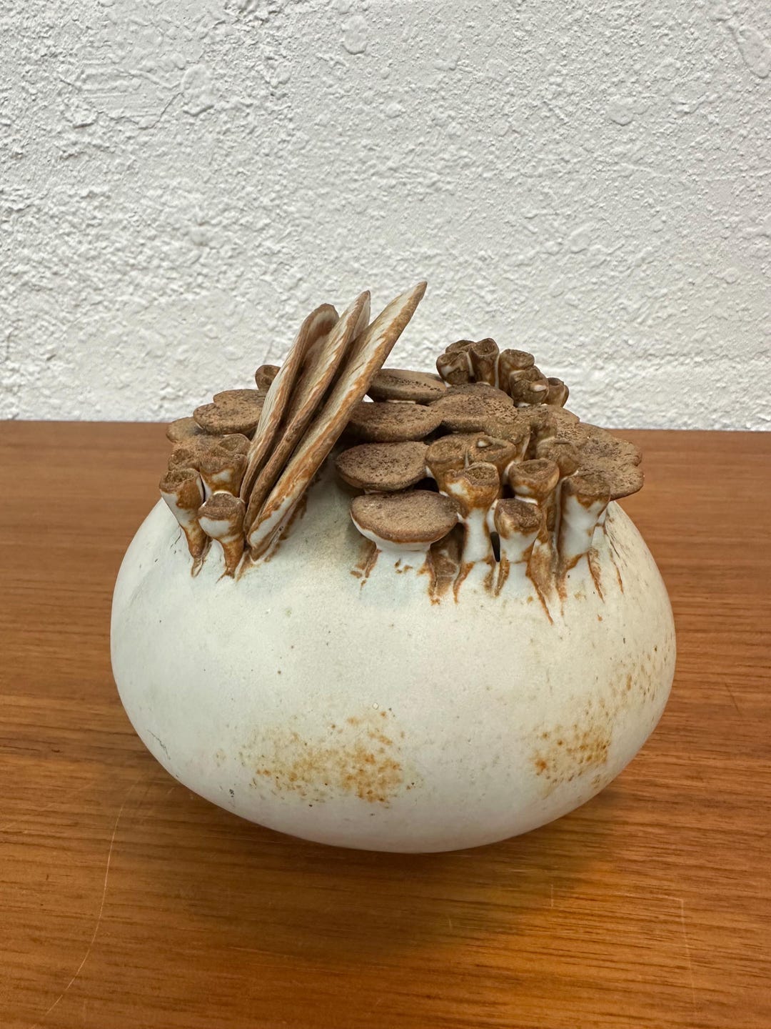 Mid Century Isabel Parks Sea Form Mushroom Studio Pottery Sculpture - Etsy