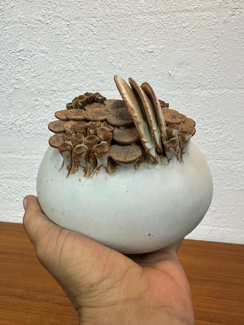 Mid Century Isabel Parks Sea Form Mushroom Studio Pottery Sculpture - Etsy