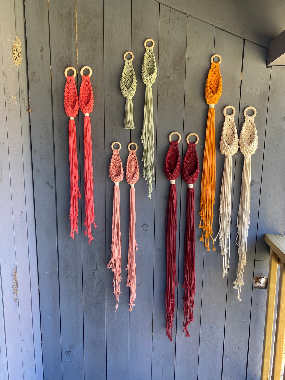 Custom Made to Order Set of Succulent Pod Plant Hangers - Etsy