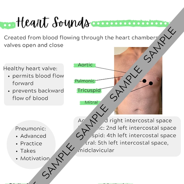 Nursing Notes Cardiac Assessment - Etsy