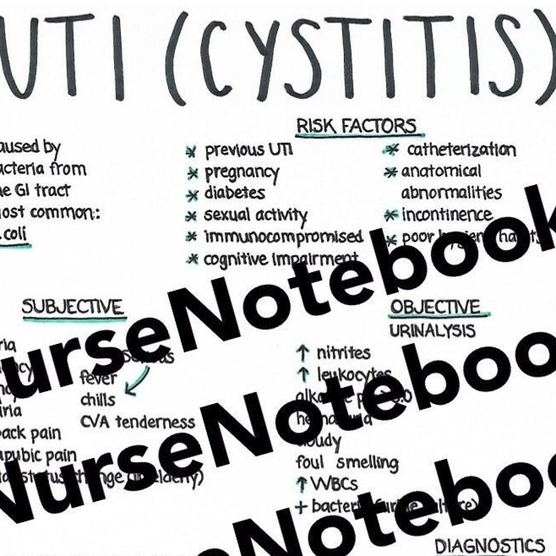 NurseNotebook - Etsy