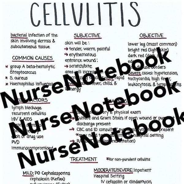 Nursing Notes - Etsy