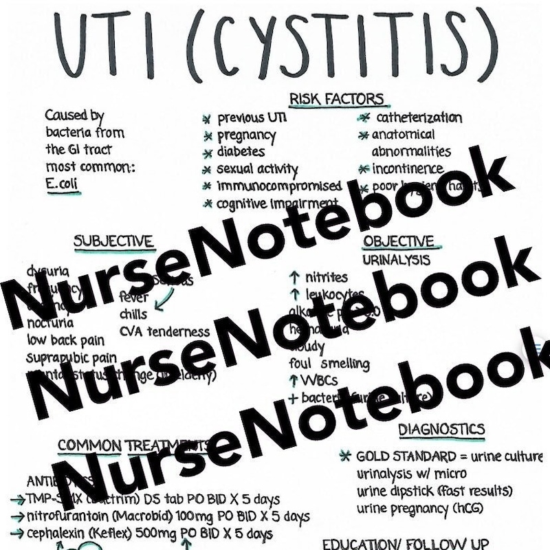 Fnp Cheat Sheet - Etsy