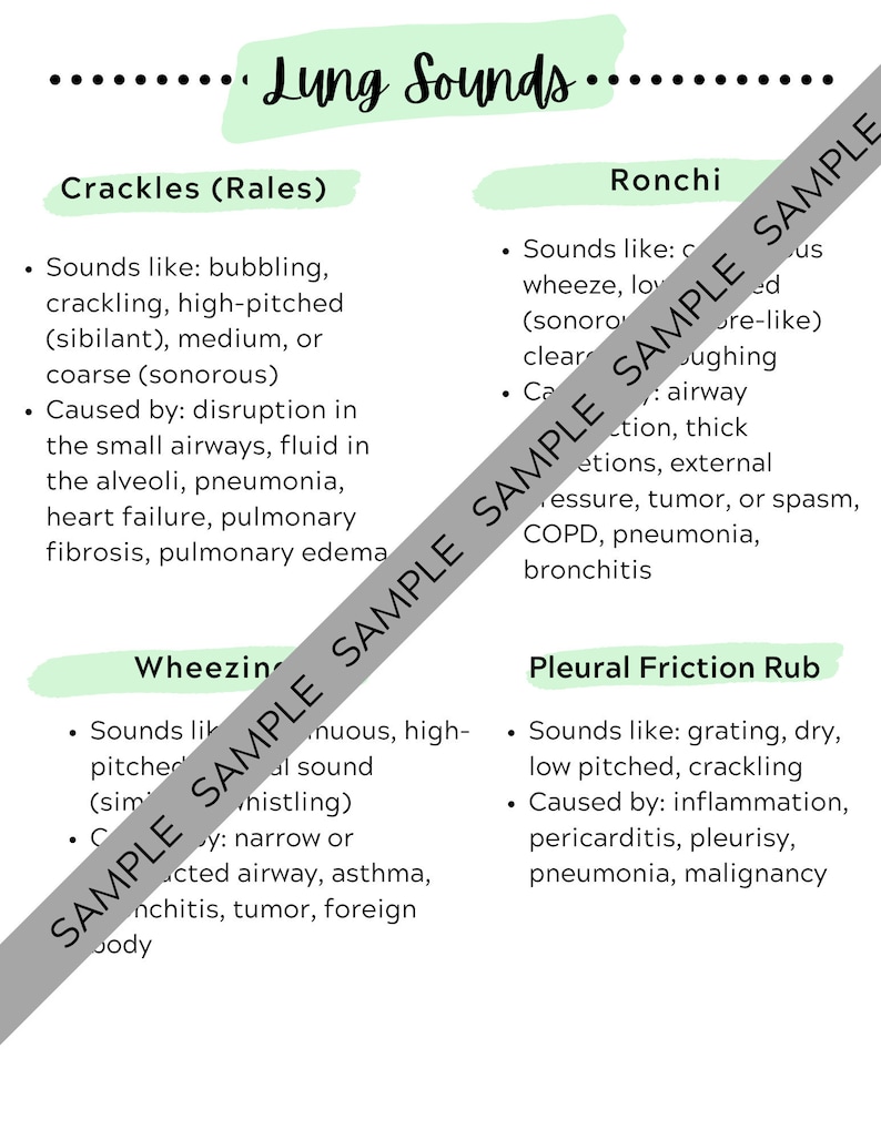 Assessment: Lung Sounds PDF Guide (2 Pages) PDF Download for Nursing ...