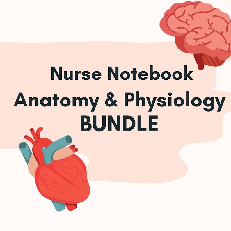 Anatomy & Physiology Nursing Student Bundle | Nursing School Notes ...