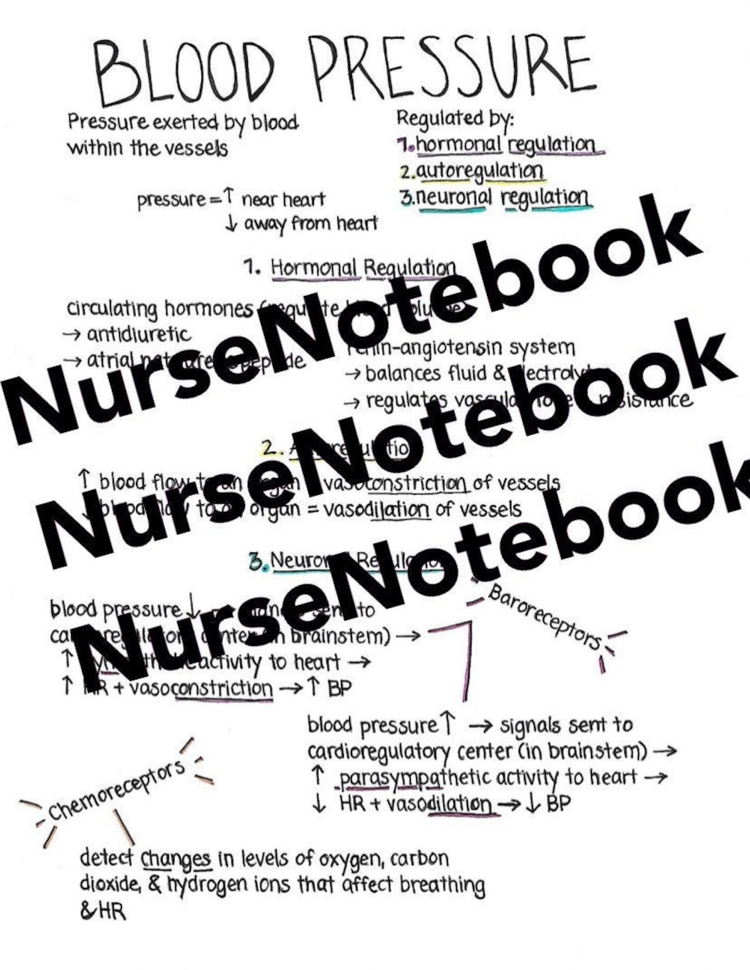 Blood Pressure Anatomy & Physiology Guide for Nursing Students, Nurse ...