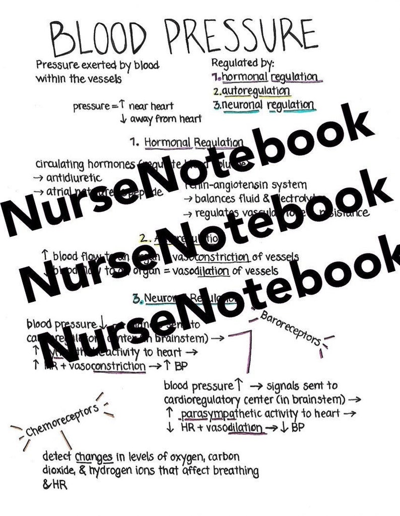 Blood Pressure Anatomy & Physiology Guide for Nursing Students, Nurse ...