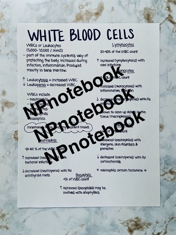 Quick Labs: White Blood Cell Leukocyte clinical guide pdf | Etsy
