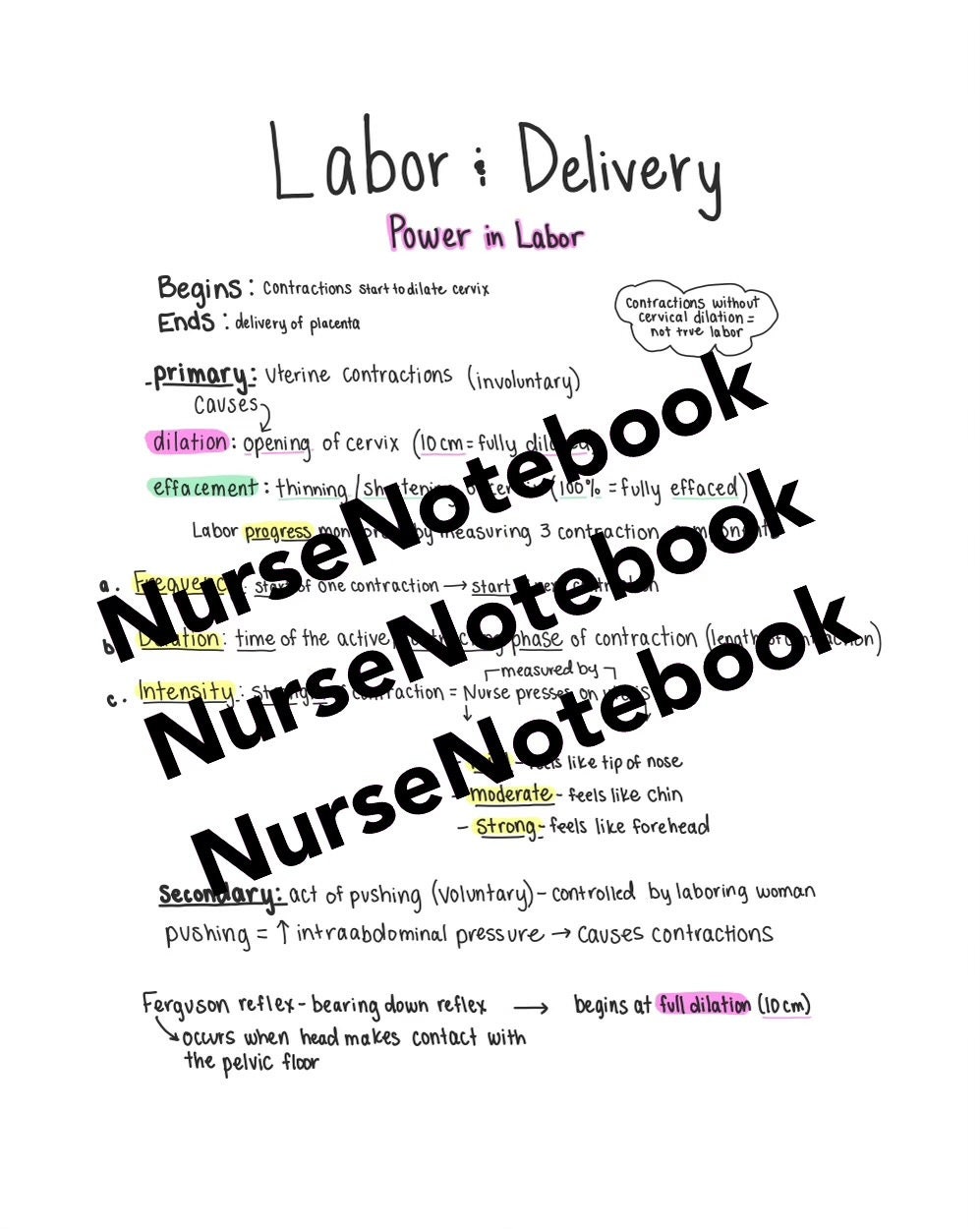 Labor & Delivery Nursing Student Bundle | Nursing School Notes ...