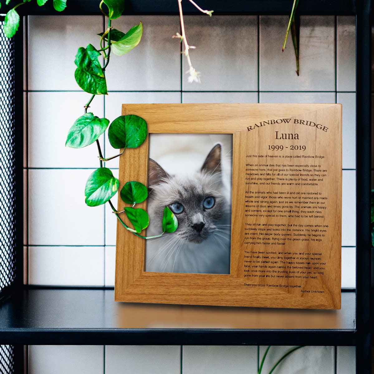 Rainbow Bridge Picture Frame - Customized With Your Dog's Name and ...