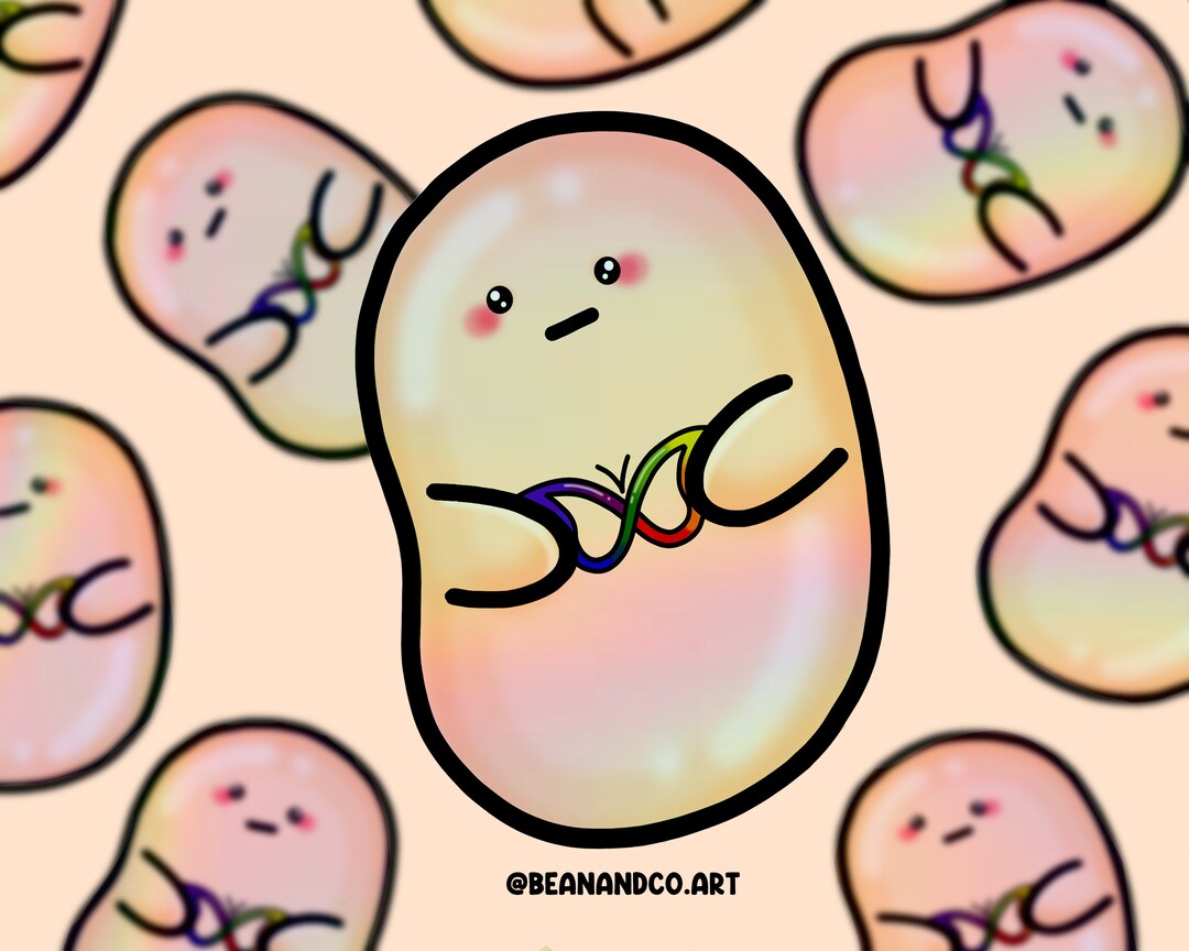 Holographic ADHD Awareness Bean- 5cm Rainbow Sticker- Attention Deficit ...