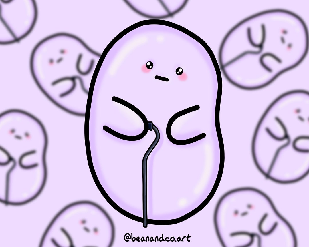 Cane Bean Sticker- 5cm Gloss Sticker- Mobility Aid Awareness- Medical ...