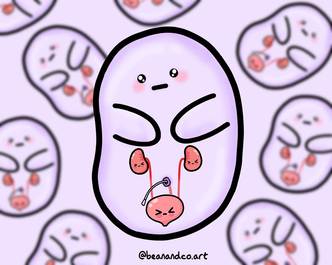 Mitrofanoff Stoma Bean Sticker- 5cm Gloss Sticker- Urinary Disorder ...