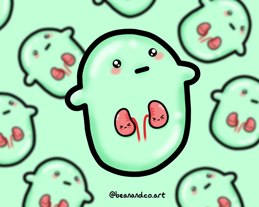 Kidney Condition Bean Sticker 5cm Gloss Sticker Chronic Illness ...