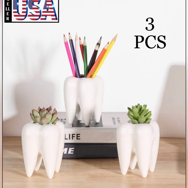 Ceramic Succulent - Etsy