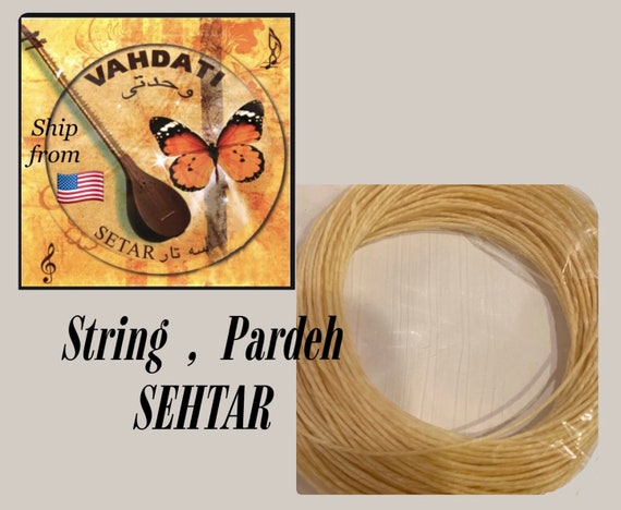 2 in 1 STRING and PARDEH SEHTAR setar sitar Seh tar سیم و | Etsy