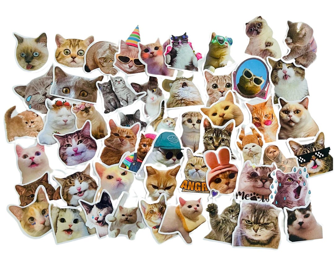 Funny Cat Meme Stickers - Etsy