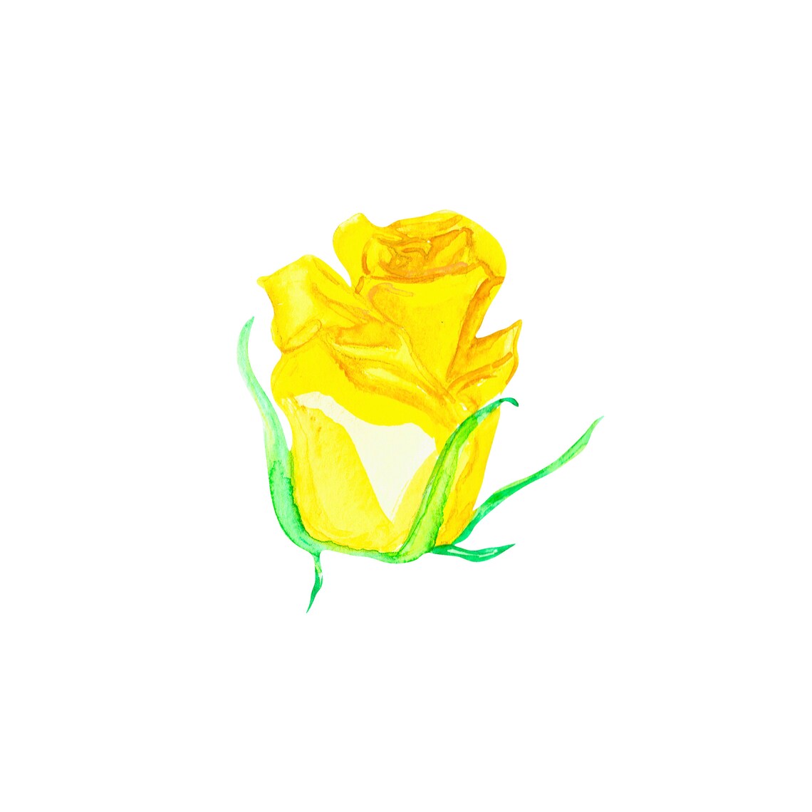 Floral Clipart, Yellow Roses Clipart, Abstract Shapes Clipart, Roses ...