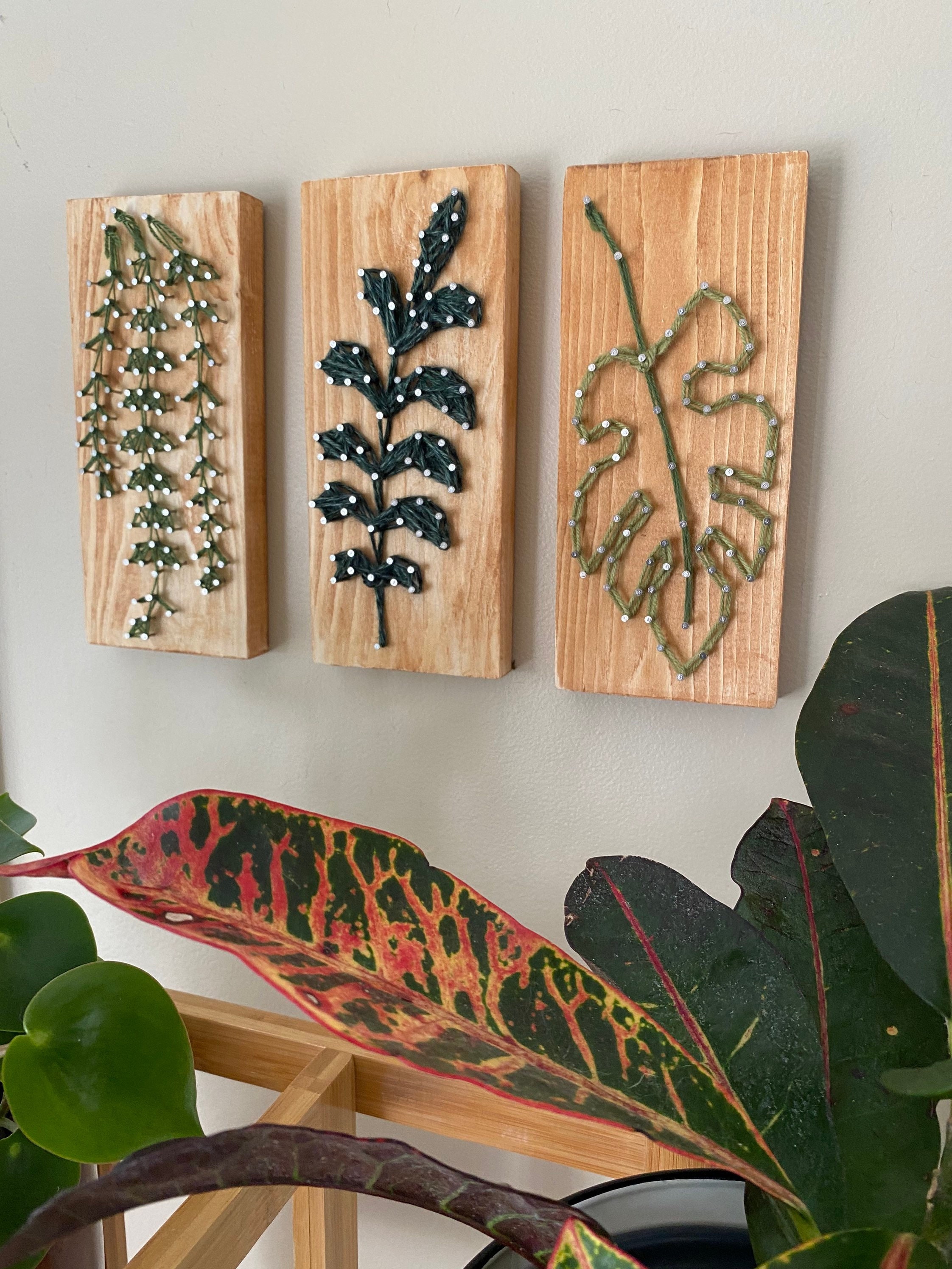 PLANT WALLART DECOR. Greenery String Art. Handmade Seasonal - Etsy