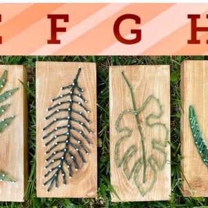 PLANT WALLART DECOR. Greenery String Art. Handmade Seasonal Decor ...