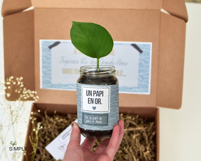 Plante personnalisée bonne fête papi en or | Cadeau fête des grands-pères original | Coffret ...