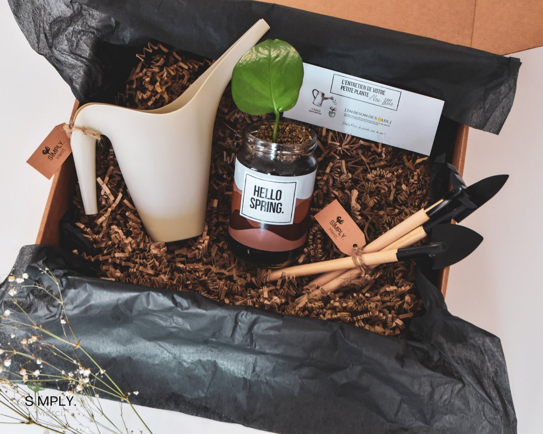 Personalized Plant Box With Spring Gardening Kit | Gift Box for Plant ...