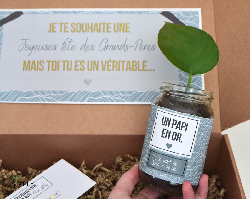 Plante personnalisée bonne fête papi en or | Cadeau fête des grands-pères original | Coffret ...
