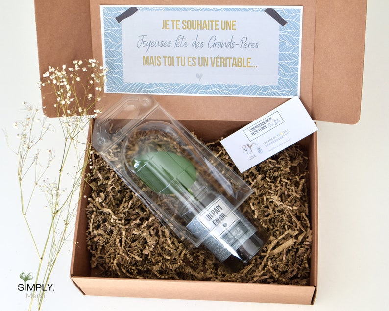 Plante personnalisée bonne fête papi en or | Cadeau fête des grands-pères original | Coffret ...