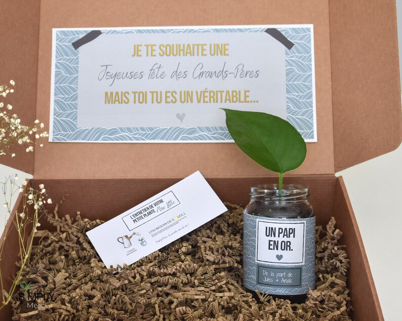 Plante personnalisée bonne fête papi en or | Cadeau fête des grands-pères original | Coffret ...