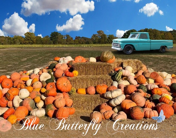 Pumpkin Patch Digital Photography Backgound Fall Vintage - Etsy